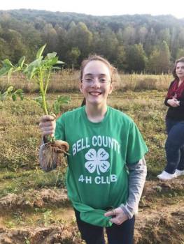 4-H Junior Homemakers Club gets farm tour - Middlesboro News ...