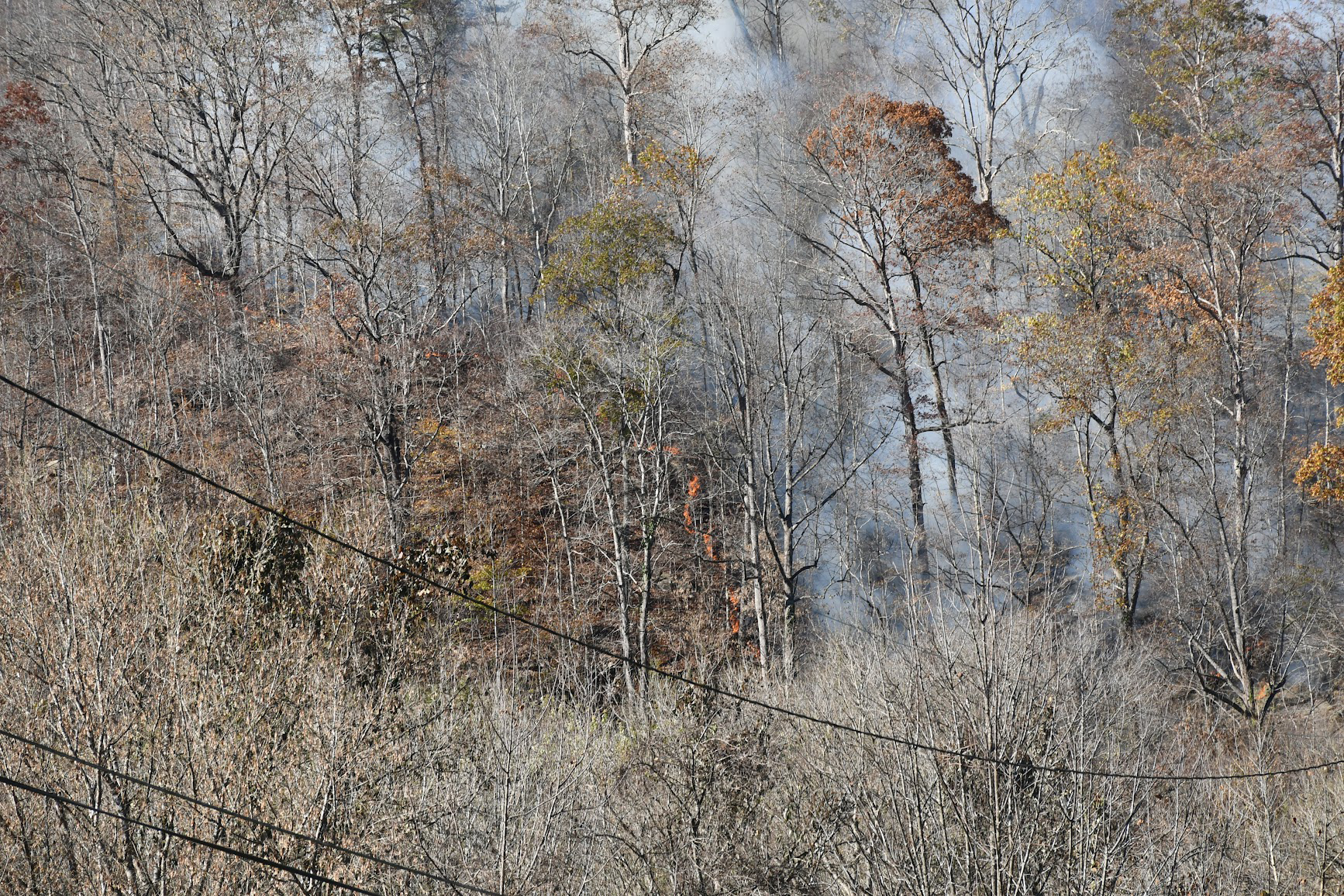 Firefighters battle multiple blazes - Middlesboro News | Middlesboro News Firefighters battle multiple blazes - Middlesboro News | Middlesboro News