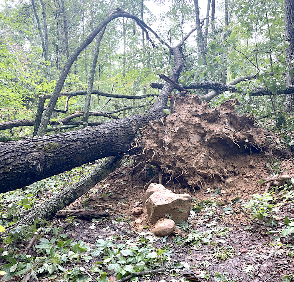 Crews clear downed trees from 10 miles of trail in Cumberland Gap ...